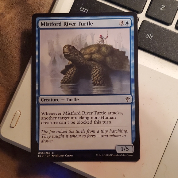 Other | Mistford River Turtle Magic Card | Poshmark